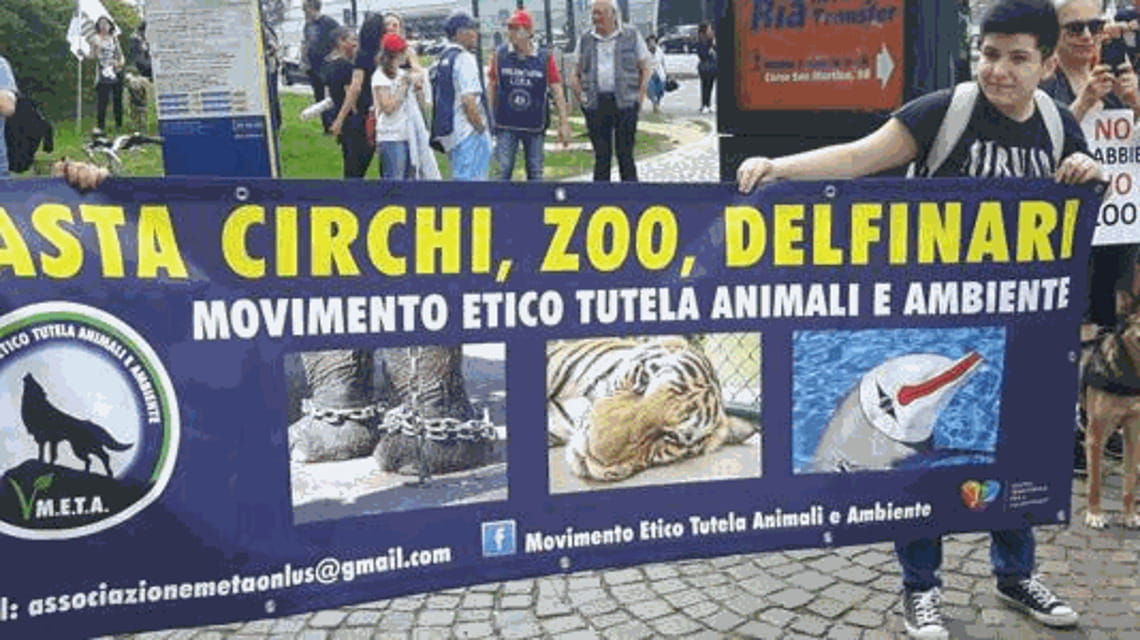 Reverse zoo, uomini in gabbia e animali in libertà - La Testata Magazine
