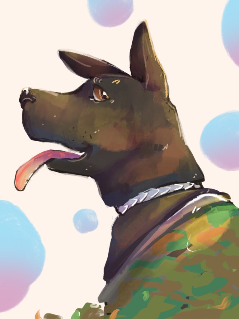 Ciro e il Rifugio ARPAD - La Testata Magazine